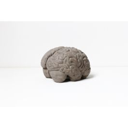 Brain Bookend Brain Stopper by Lyon Bèton Online Beton| Sintesi.Design®